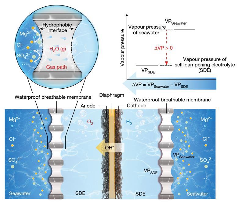 Water-splitting device solves puzzle of producing hydrogen direct from ...