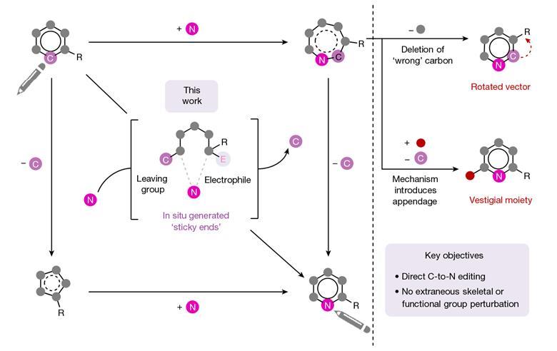 Skeletal editing that simply swaps aromatic carbons for nitrogens will ...
