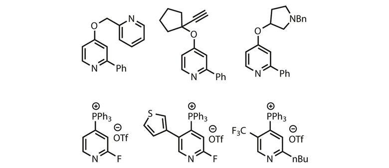 Functionalising pyridines with phosphonium salts | Opinion | Chemistry ...