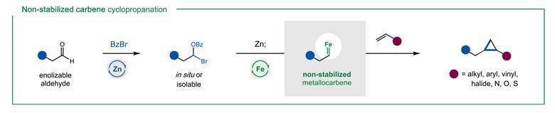Iron salts catalyse the creation of carbenes for cyclopropanation ...