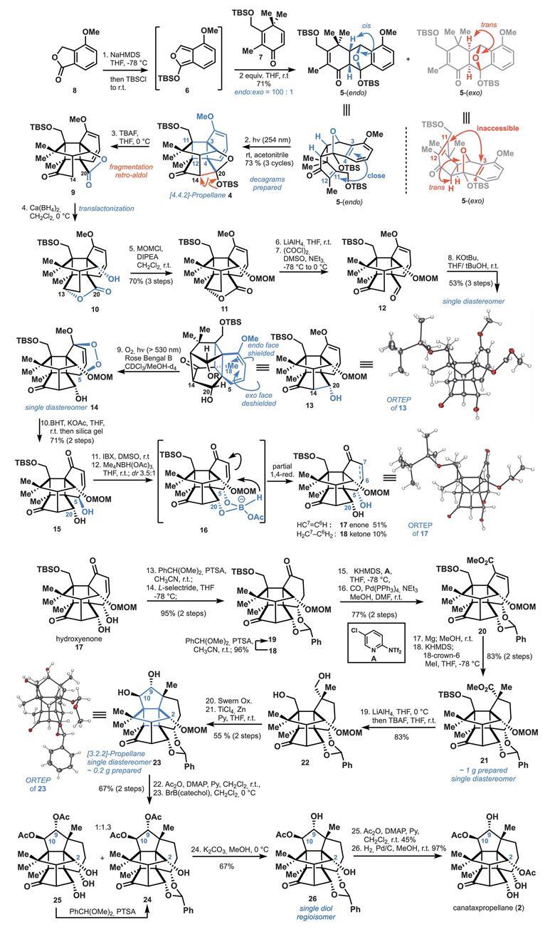 Chemists complete synthesis of molecule ‘at the limits of complexity ...