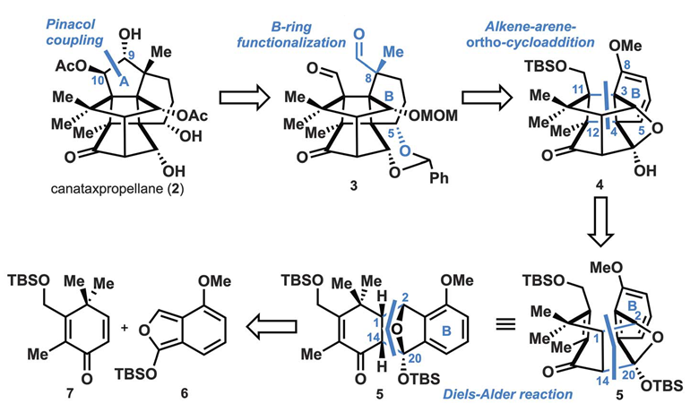 Chemists complete synthesis of molecule ‘at the limits of complexity ...