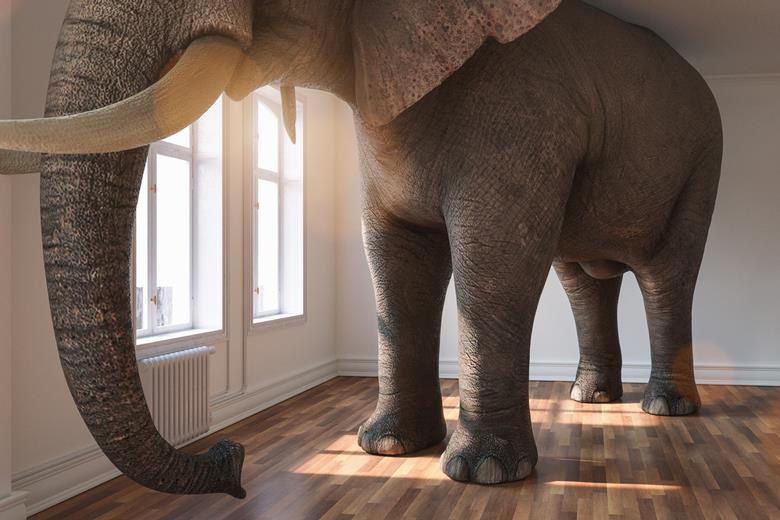 Are chemicals the elephant in the sustainability room? | Opinion ...