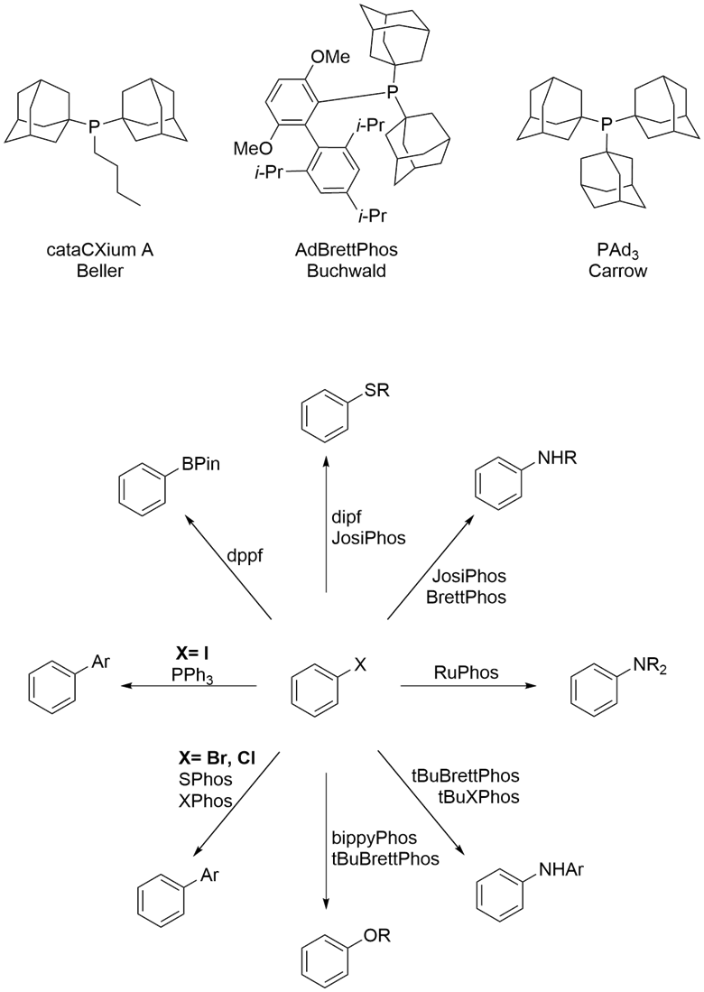 Next-generation ligands for complex coupling challenges | Article | Chemistry World