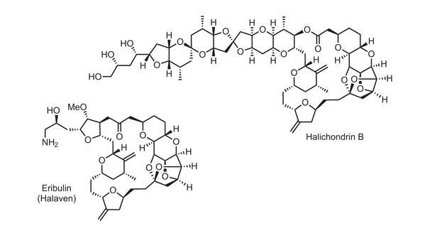 Organic odysseys | Feature | Chemistry World