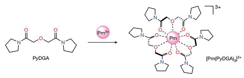 Promethium bond length completes picture of the size of lanthanides ...