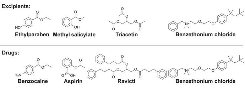 Common inactive drug ingredients not as inert as thought | Research ...