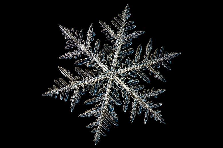 What makes a snowflake special? | News | Chemistry World