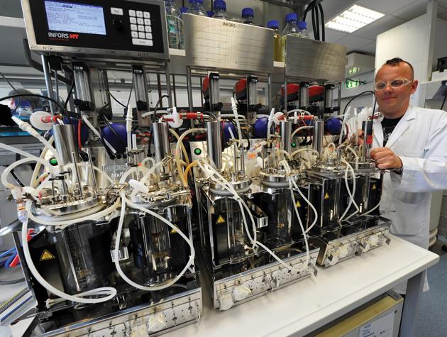 Microbial miners | Feature | Chemistry World