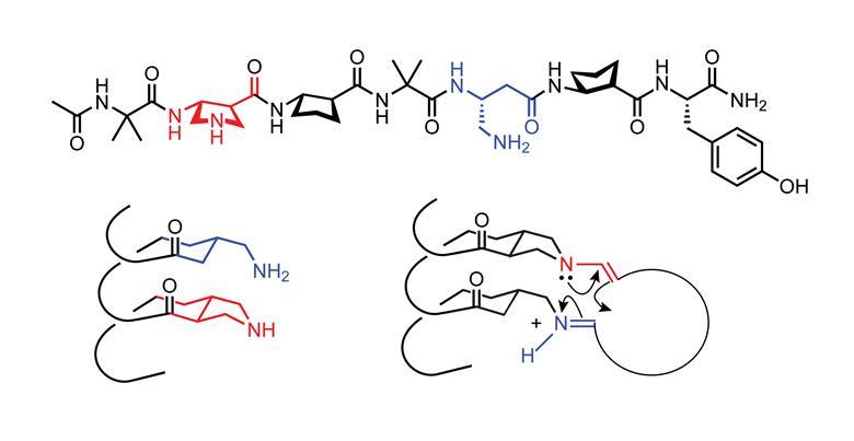 The function of folding | Feature | Chemistry World