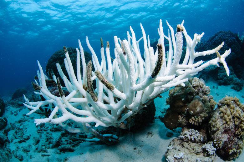 Explainer: How do sunscreens safely protect our skin? | News ...