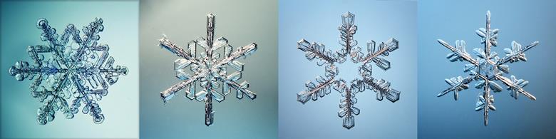 What makes a snowflake special? | News | Chemistry World