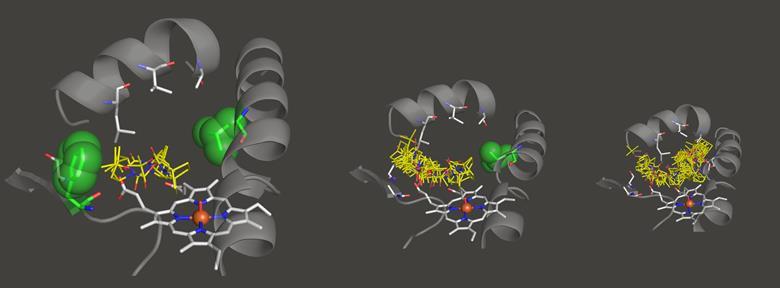 Diverse pharmaceutical building blocks prepared with evolved enzymes ...