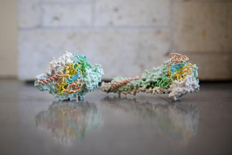 Revolutionising RSV prevention | Business | Chemistry World