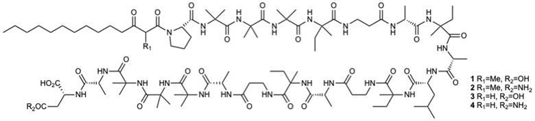 Scientists discover coniotins: new antifungal compounds effective ...