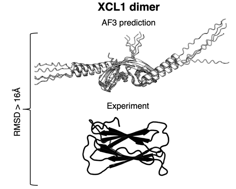 Proteins with multiple structures open up AlphaFold’s black box ...