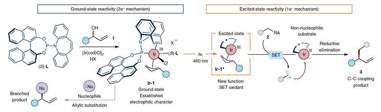 Blue light triggers ‘unprecedented’ reaction in old catalyst | Research ...