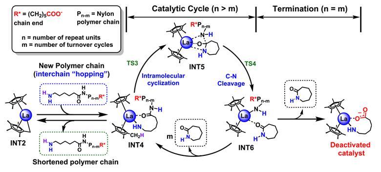 New catalytic process completely breaks down nylon-6 in minutes ...