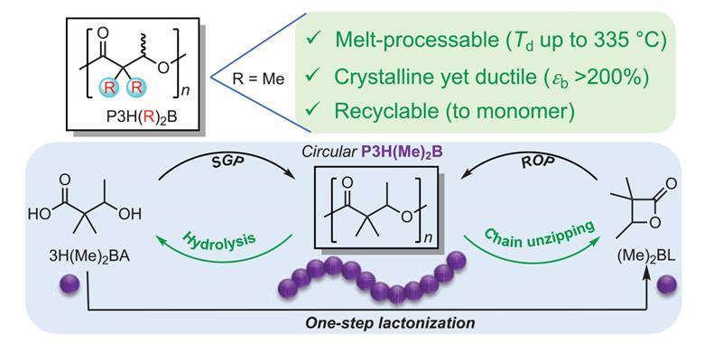 Redesigned biopolymer solves thermal stability challenge | Research ...
