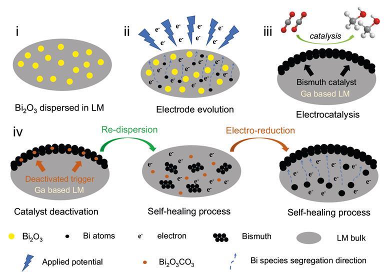 The liquid metals giving catalysis a new phase | Feature | Chemistry World