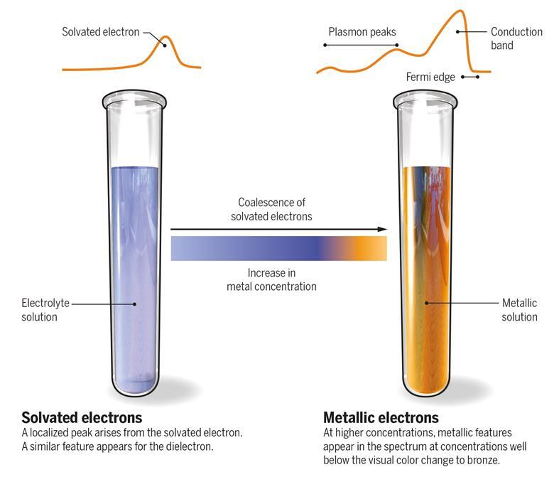 Solvated electrons’ metallic transition resolved with spectroscopy ...