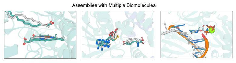 Deep learning algorithm predicts structures of biomolecular assemblies ...