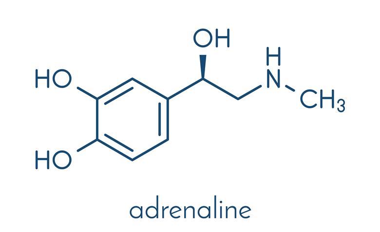 Adrenaline | Podcast | Chemistry World