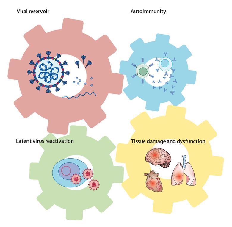 Battling long Covid with drugs | Feature | Chemistry World