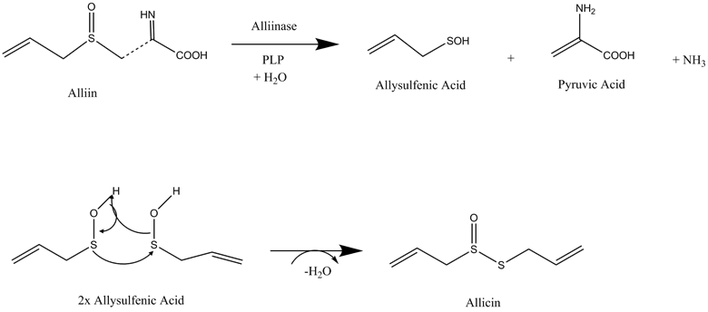 Allicin | Podcast | Chemistry World