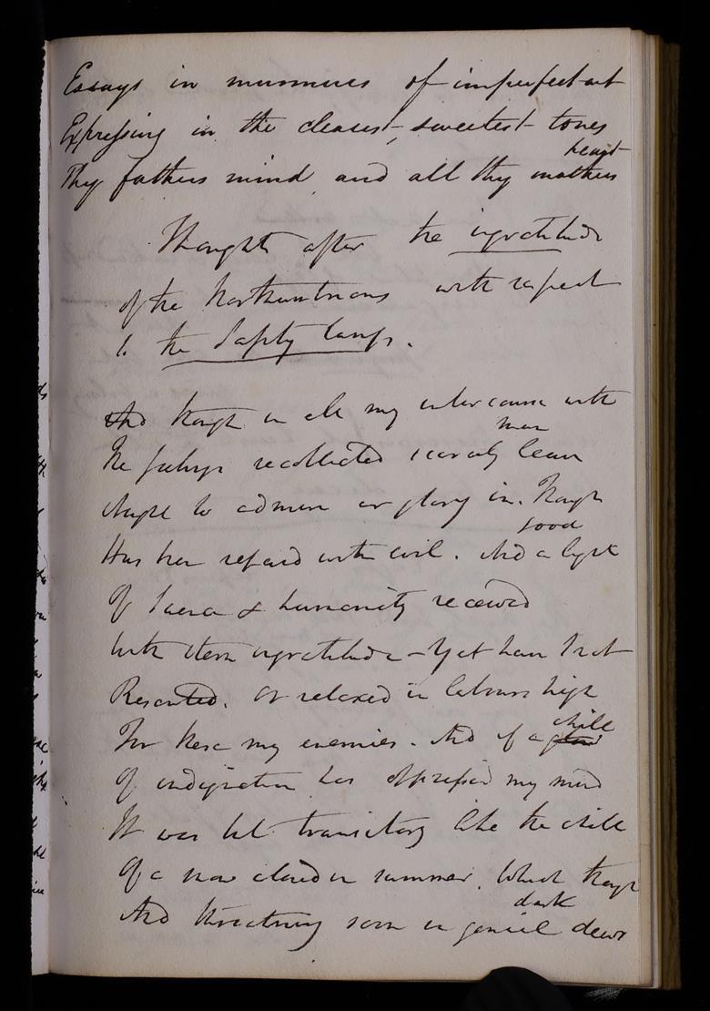 Davy notebook project paints complicated picture of influential chemist ...