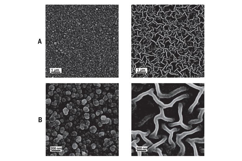 Turing patterned membrane takes on water purification | Research ...