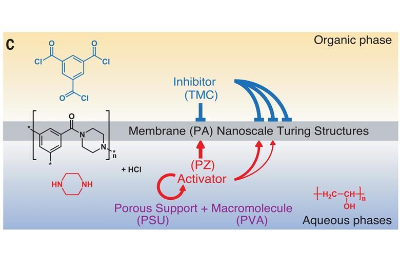 Turing patterned membrane takes on water purification | Research ...