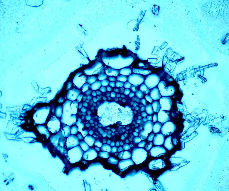 New facility set to ‘revolutionise UK research’ into tiny particles ...