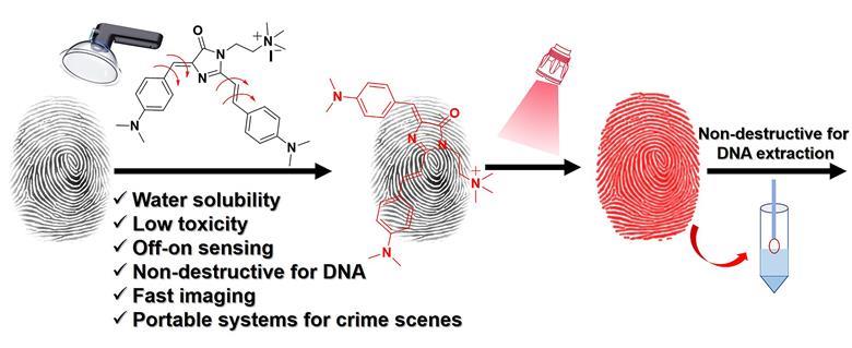 New spray-on dyes can instantly reveal fingerprints at crime scenes ...