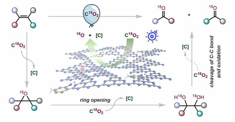Surprising oxidising power of carbon dioxide freed by photochemistry ...