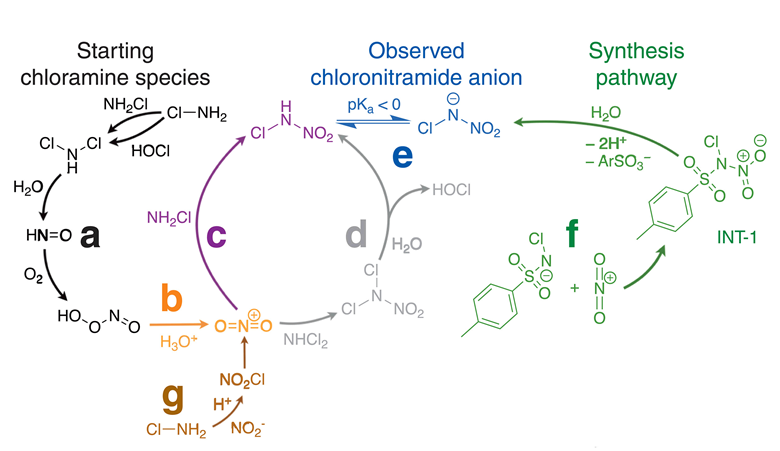 First detected 40 years ago, a byproduct in chloraminated drinking ...