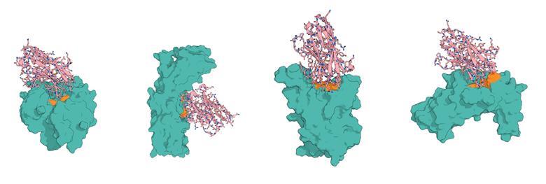 AI-designed antibodies target antigens with atomic precision | Research ...