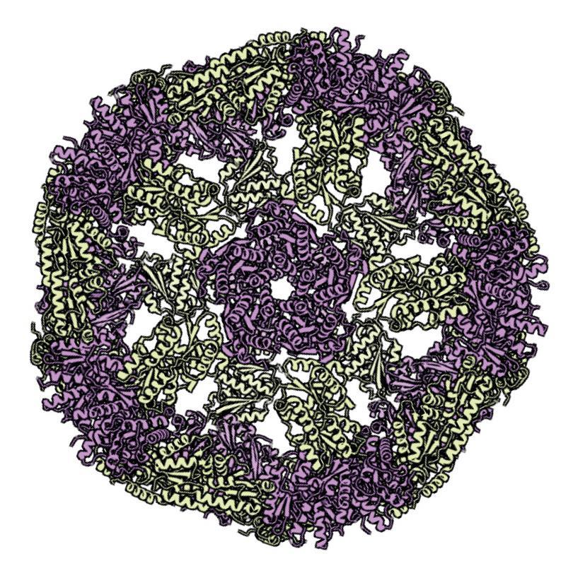 How AI protein structure prediction and design won the Nobel prize ...