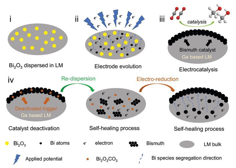 The liquid metals giving catalysis a new phase | Feature | Chemistry World