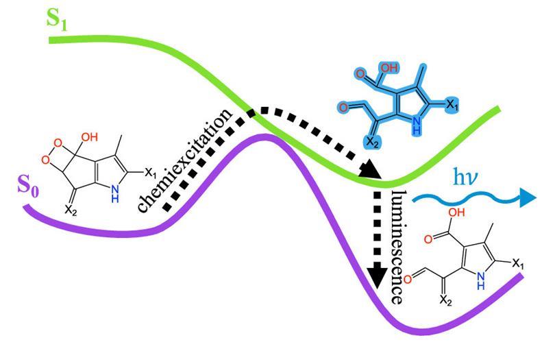 The chemistry behind bioluminescent dinoflagellates and sea sparkle ...