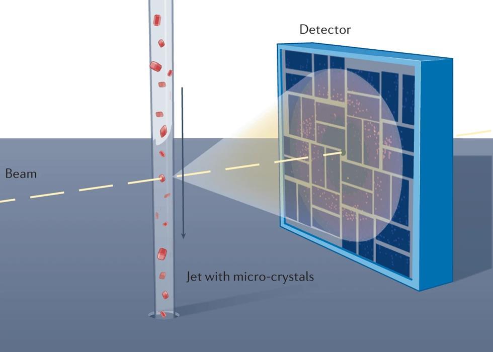 Serial femtosecond crystallography: how X-ray free electron lasers are ...