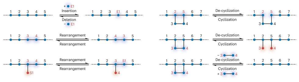 Editing polymer backbones | Feature | Chemistry World Editing polymer backbones | Feature | Chemistry World