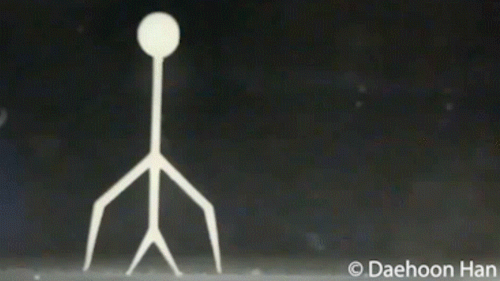 Hydrogel goes for a stroll | Research | Chemistry World