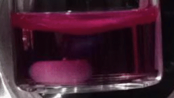 Chemical pulse animates lifelike colour-changing system | Research ...